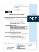 Ejemplo de CV Documentado | PDF | Ciencias de la Computación | Computadoras personales