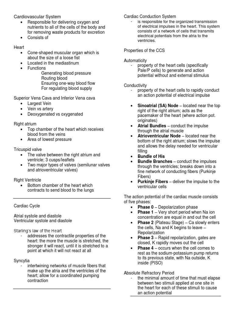 Cardiovascular System (Report) | PDF | Heart Valve | Heart