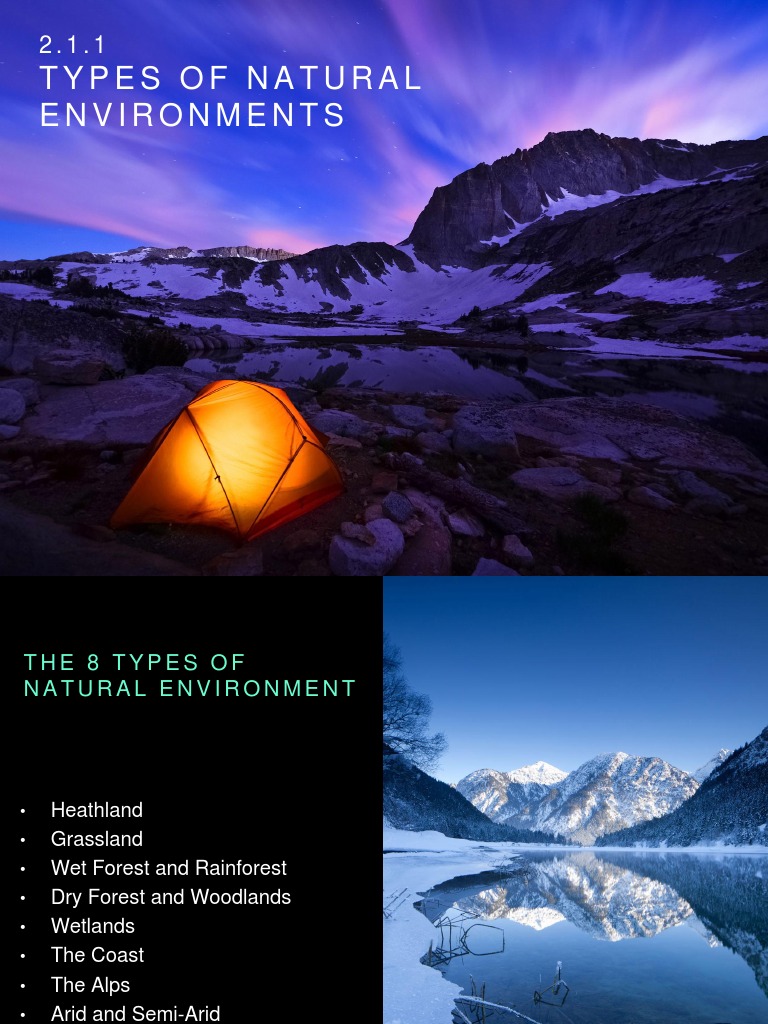 Types of Natural Environments 2 | PDF | Grassland | Natural Environment