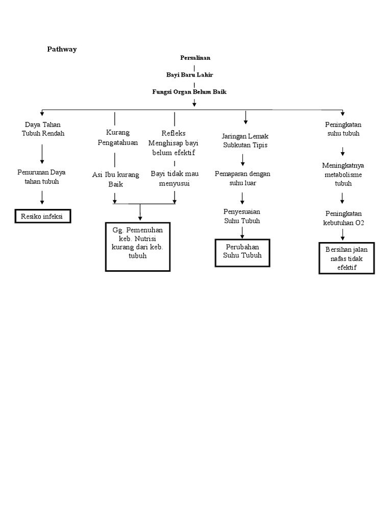Pathway BBL | PDF | Kesehatan Holistik