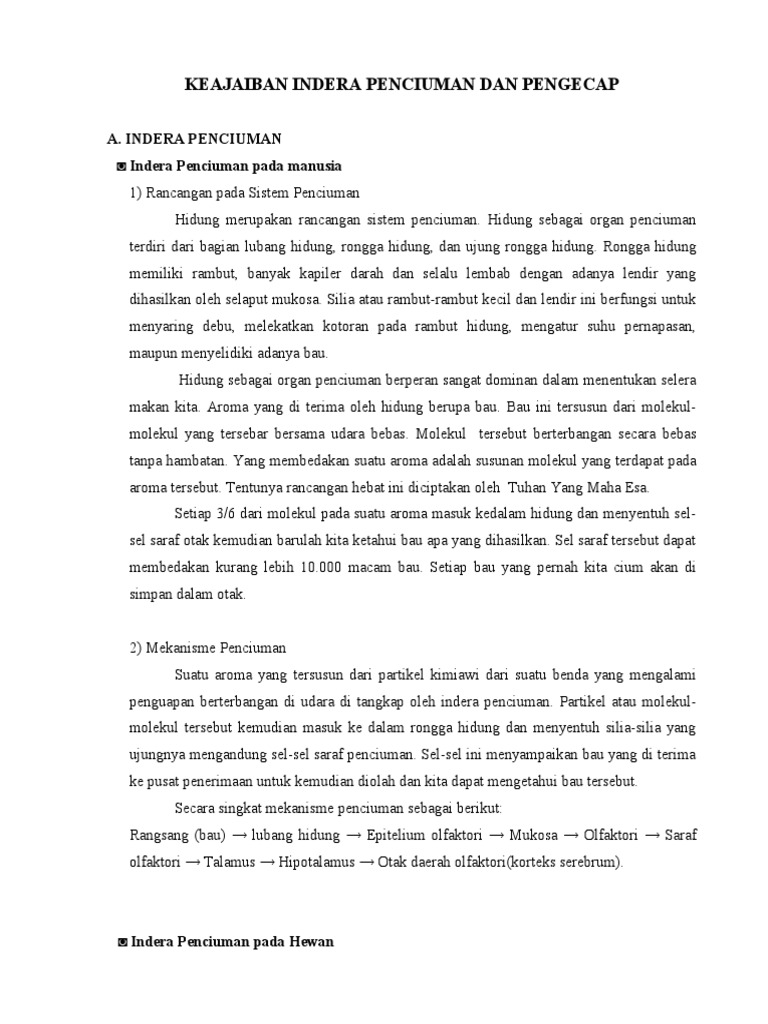 Indera Penciuman dan Pengecap Manusia | PDF