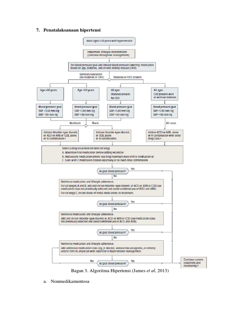 Penatalaksanaan Hipertensi | PDF