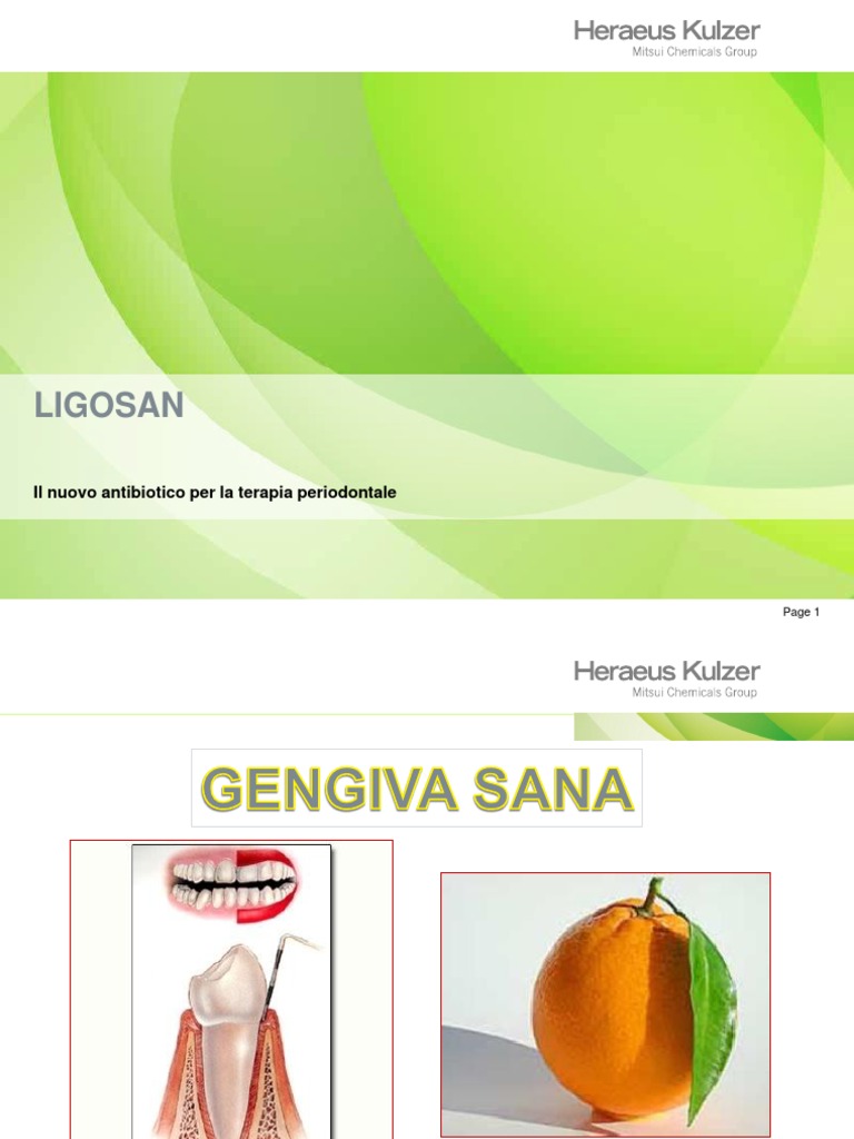 Ligosan | PDF