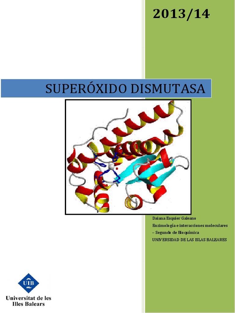 Superóxido Dismutasa: Estructura y Función | PDF | Enzima | Radical ...
