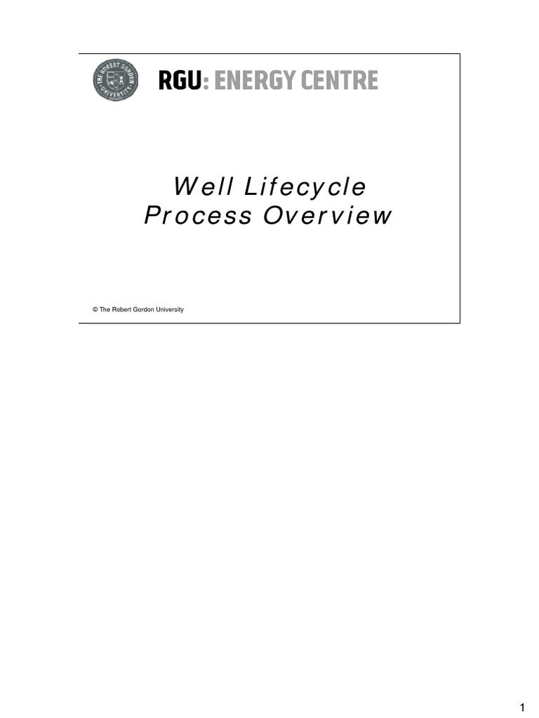 Well Lifecycle Slides | PDF | Casing (Borehole) | Sedimentary Rock