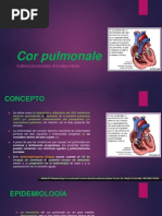 Signo de Mapache | PDF | Lesión | Medicina