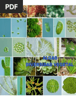 Morfología de Las Algas | PDF