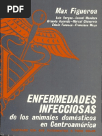 Ficha de Profilaxis Antirrábica | PDF | Rabia | Ciencias de la Salud