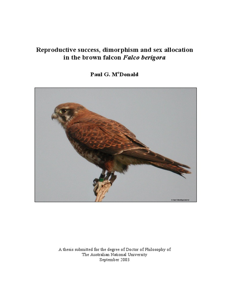 02 Whole Pdf Sexual Selection Birds Of Prey