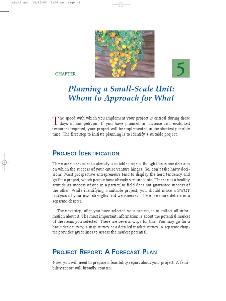 Guide to Planning Small-Scale Projects | PDF | Partnership | Sole ...