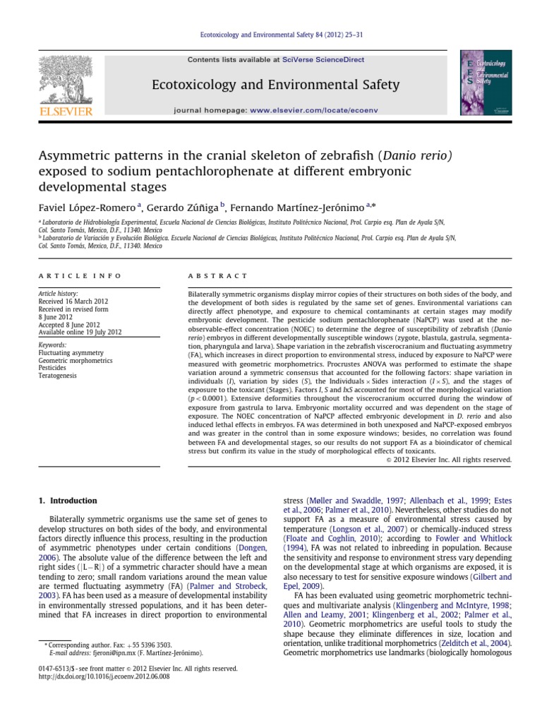 Asymmetric Patterns in The Cranial Skeleton of Zebra Fish | PDF ...