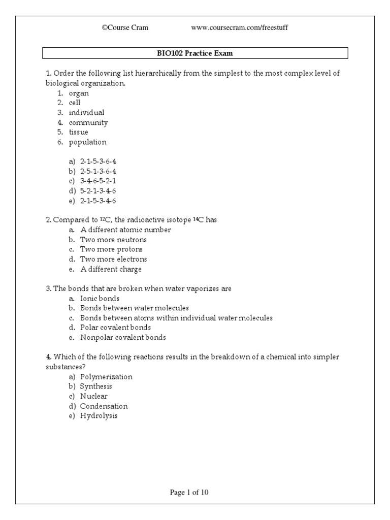BIO102 Practice Exam | PDF | Adenosine Triphosphate | Photosynthesis