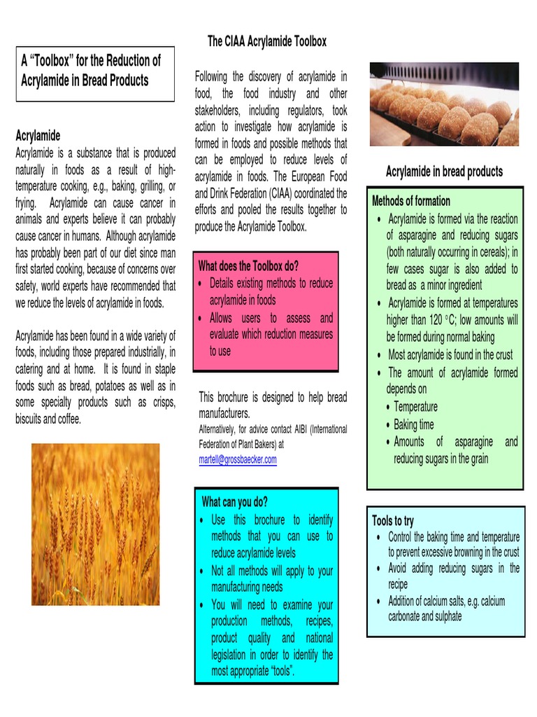 Bread en Final | PDF | Breads | Baking