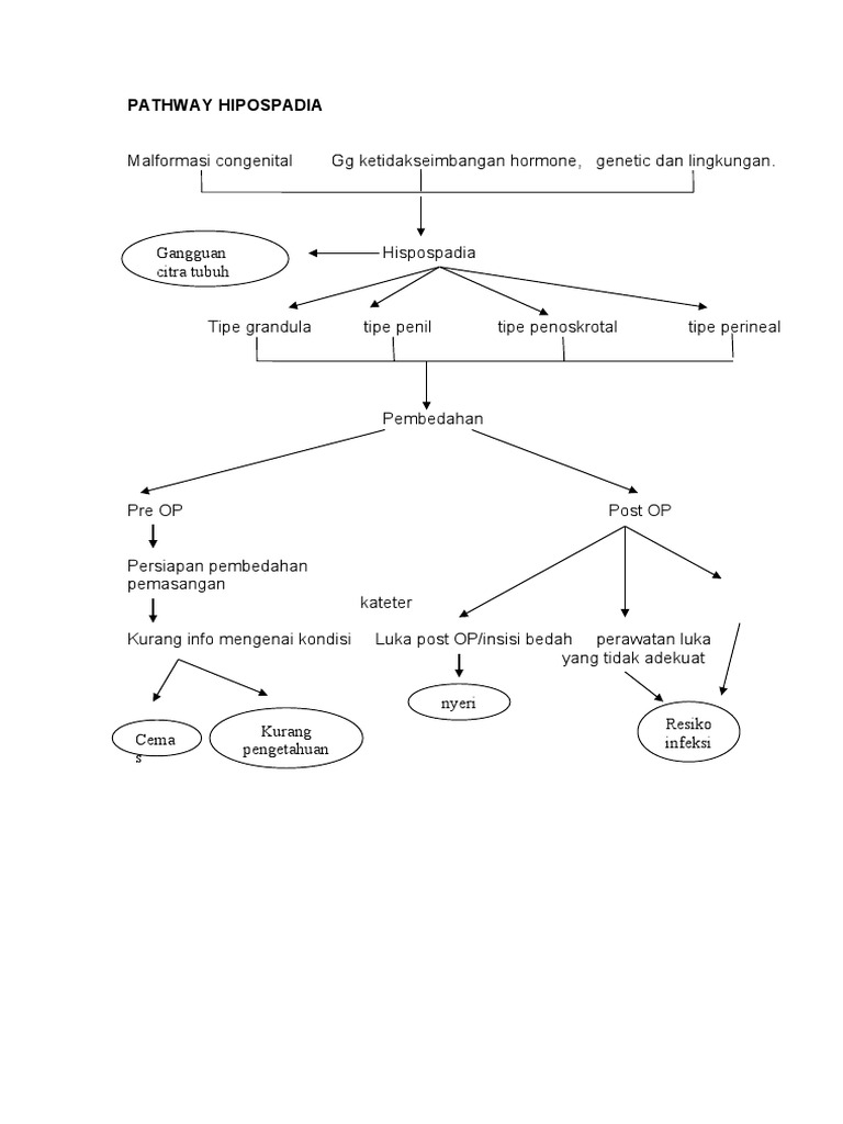 Pathway Hispospedia | PDF