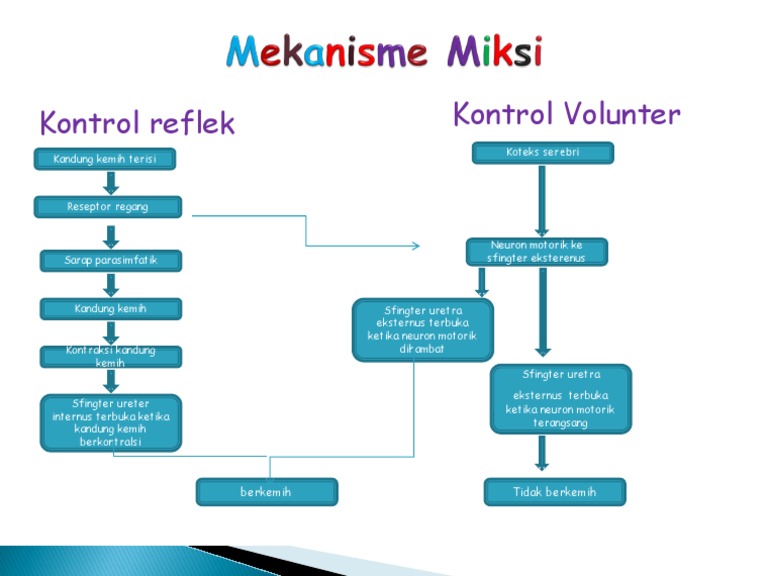 Mekanisme Miksi | PDF