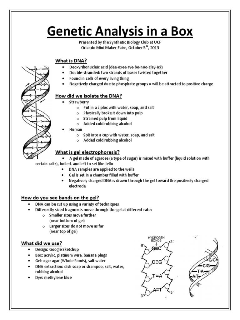 Genetic Analysis in A Box Flyer | PDF | Wellness