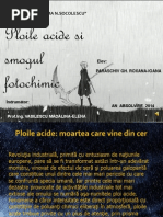 Ploaia Acida | PDF