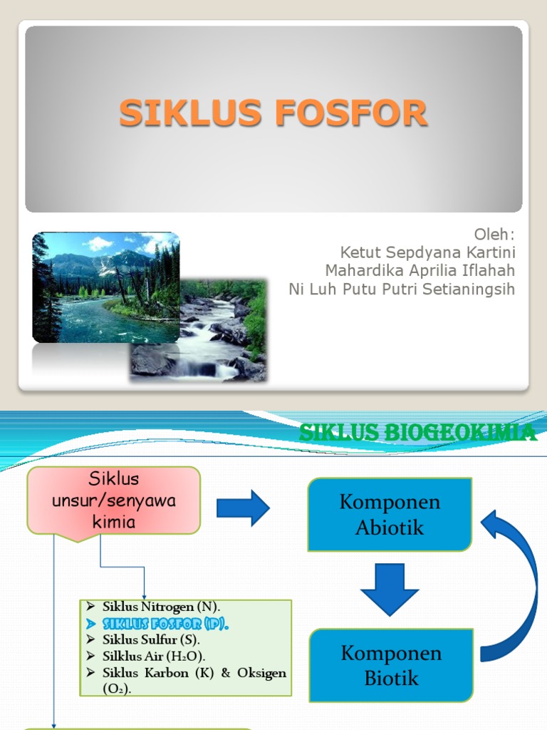 Siklus Fosfor II | PDF