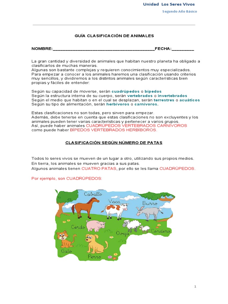 Clasificación de Animales para Niños | PDF | Vertebrados | Invertebrado