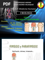 Guía Clínica sobre Fimosis en Niños | PDF | Enfermedades y trastornos ...