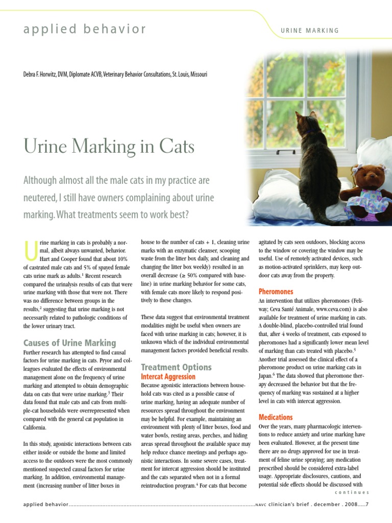 Understanding Urine Marking in Cats | PDF | Self-Improvement | Wellness