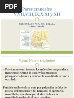 Alteraciones de Los Pares Craneales | PDF | Percepción visual | Ojo humano
