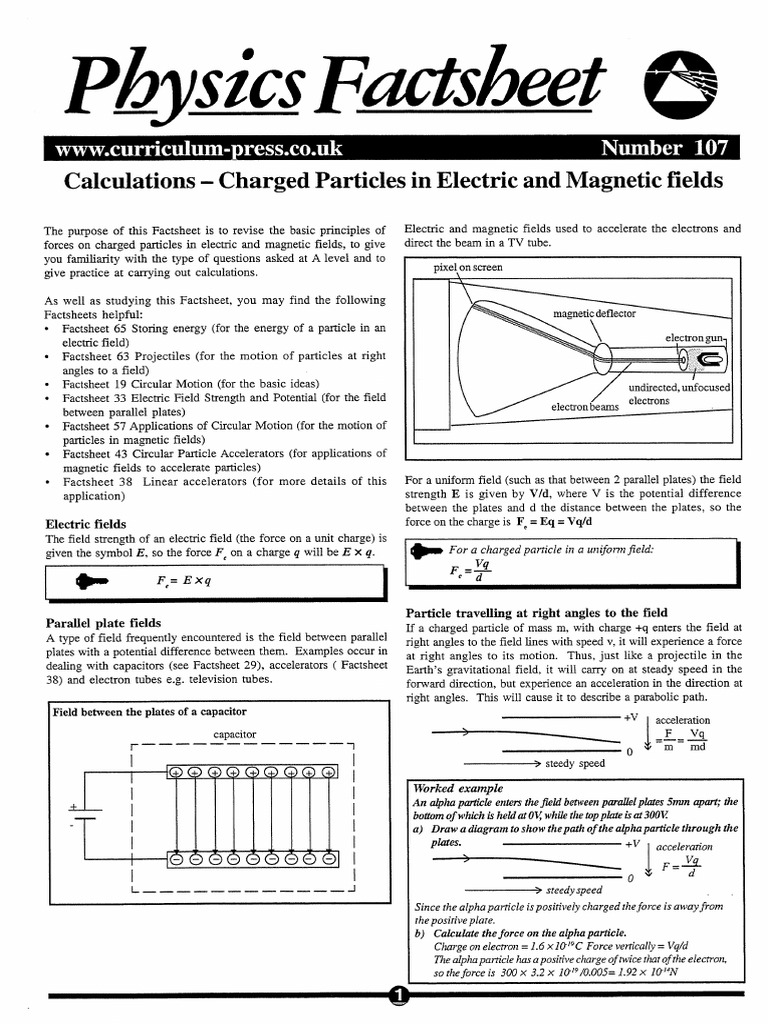Electric and Magnetic Fields (Physics Factsheet) | PDF | Capacitor ...