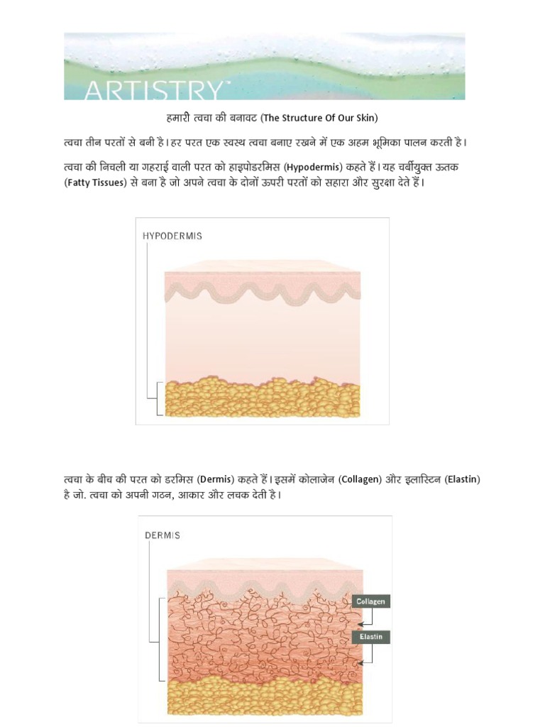 Artistry SC TheStructureOfOurSkin | PDF | Wellness