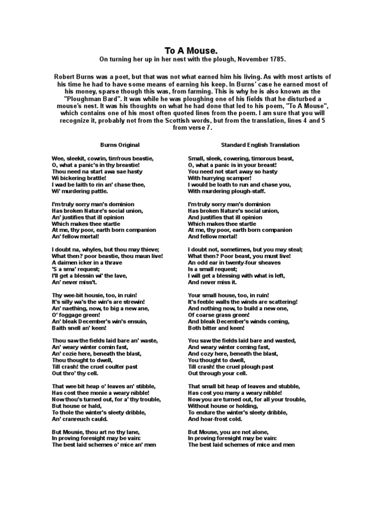 Robert Burns' To A Mouse | PDF | Poetry