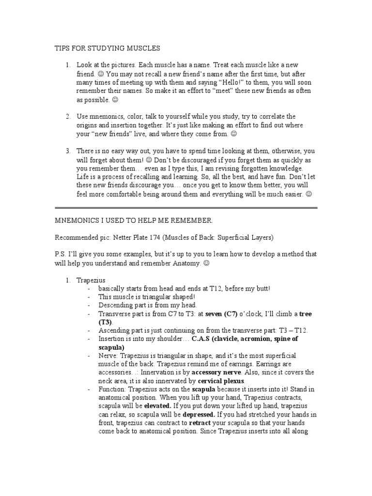 Tips For Studying Muscles | PDF | Musculoskeletal System | Human Anatomy