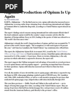 Infographic: Opium Cultivation On The Rise | PDF | Opium | Heroin