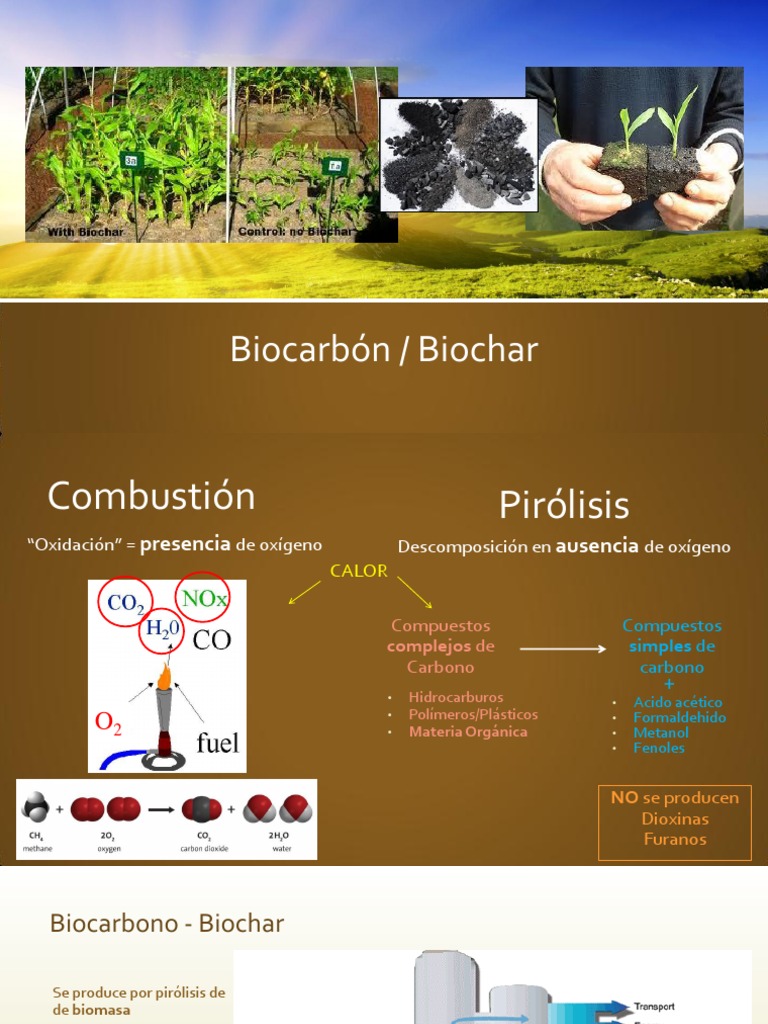 Biocarbon | PDF