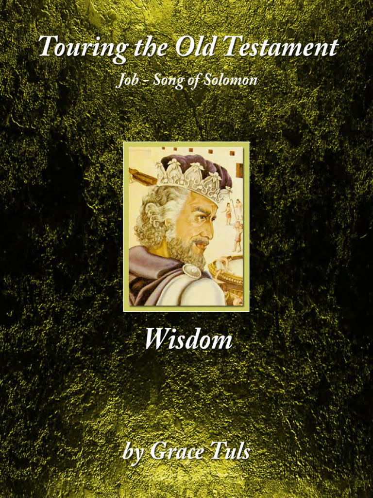 Touring Old Testament - Wisdom Literature | PDF | Book Of Job | David