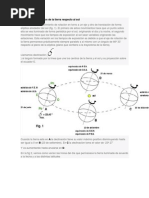 Angulo Cenital y La Elevación Solar y Angulo Horario | PDF