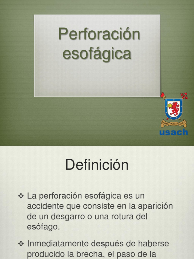 Esofago Final | PDF | Ct Scan | Anatomía humana