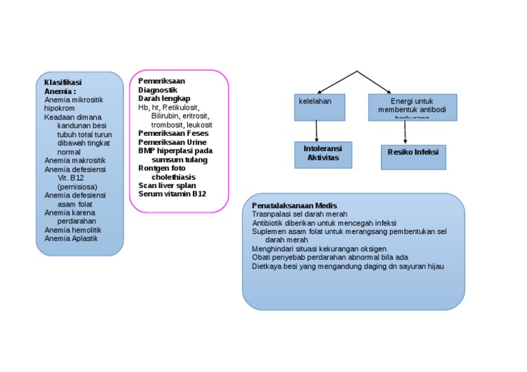 Woc Anemia 2 | PDF