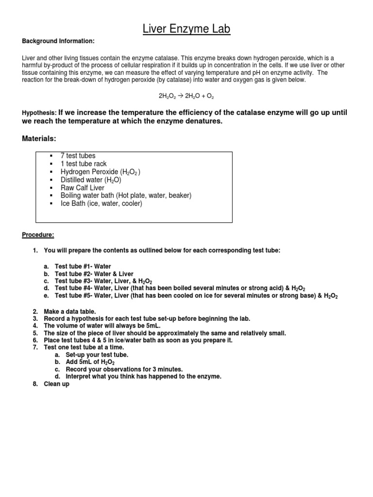 My Liver Enzyme Lab - 2013 2014 | PDF | Catalase | Peroxide