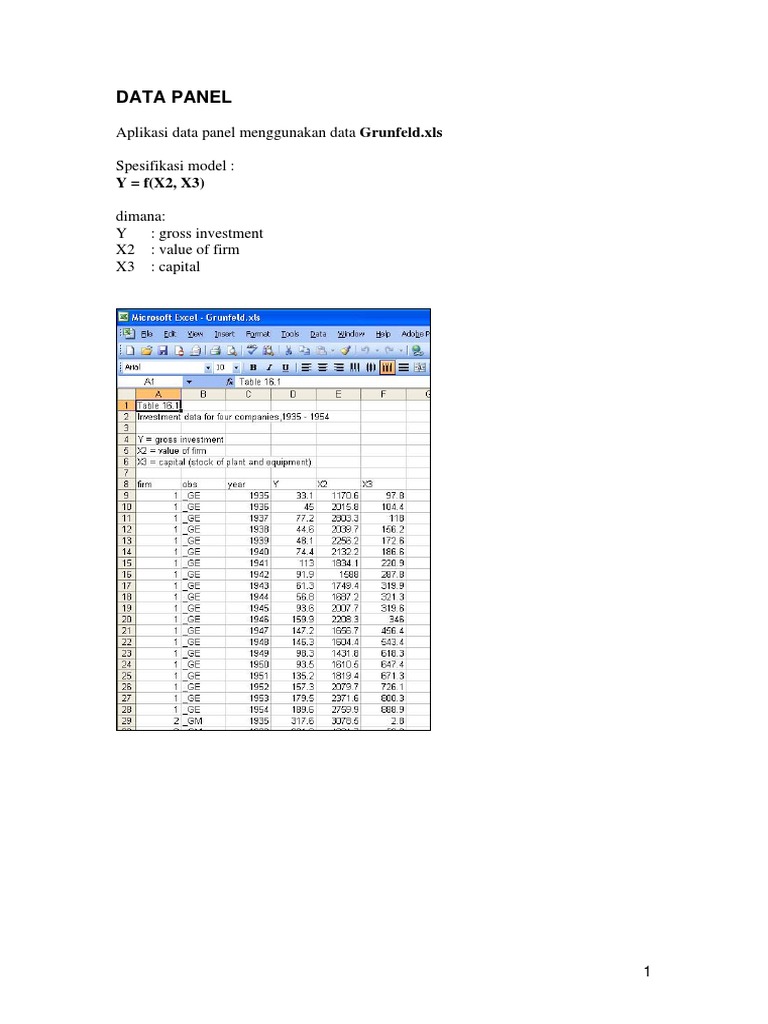 STATA Data Panel | PDF