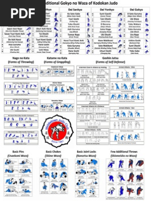 Jiu Jitsu Techniques Pdf