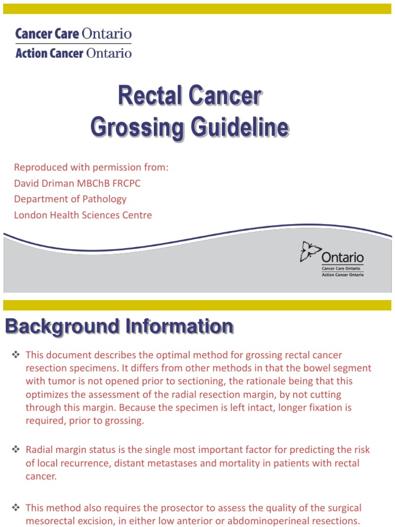Rectal Cancer Grossing Guideline | PDF | Anatomical Terms Of Location ...