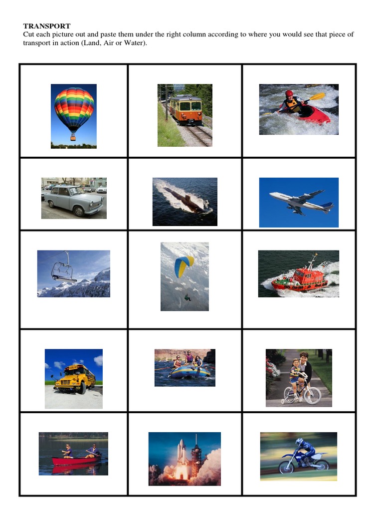 Transport Activity 1 | PDF