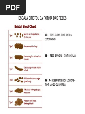 Bristol Forma De Fezes Infográfico Escala Com Fezes Tipo - lucox.cl