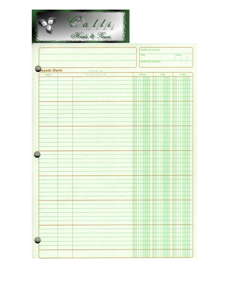 Rayado de Diario | PDF