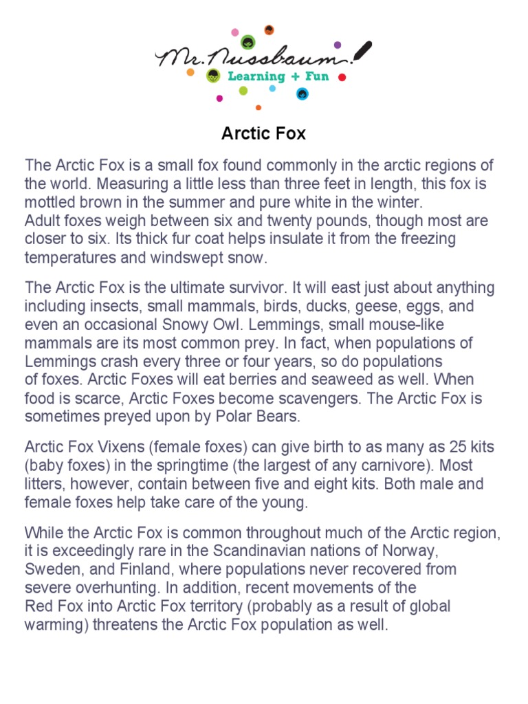 Arctic Fox | Download Free PDF | Arctic | Fauna