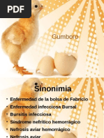 AMNIORREXIS | PDF | Parto | Embarazo humano