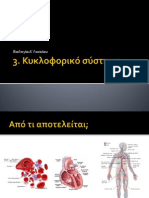 Ανατομία - Φυσιολογία ΕΠΑΛ 4ο κεφάλαιο | PDF