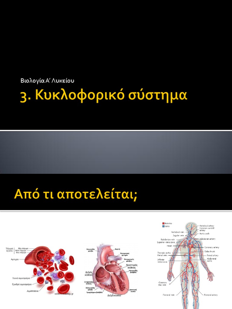 Α' ΛΥΚΕΙΟΥ - ΒΙΟΛΟΓΙΑ Κεφάλαιο 3 | PDF
