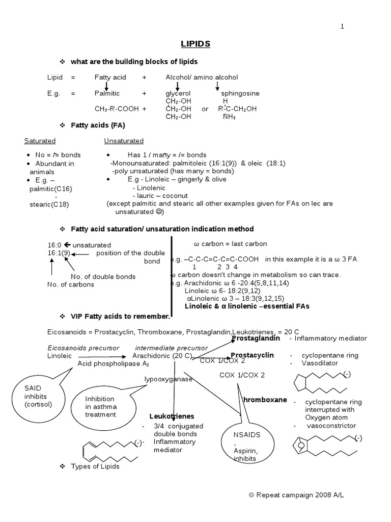 Lipids: What Are The Building Blocks of Lipids | PDF | Lipid | Fatty Acid