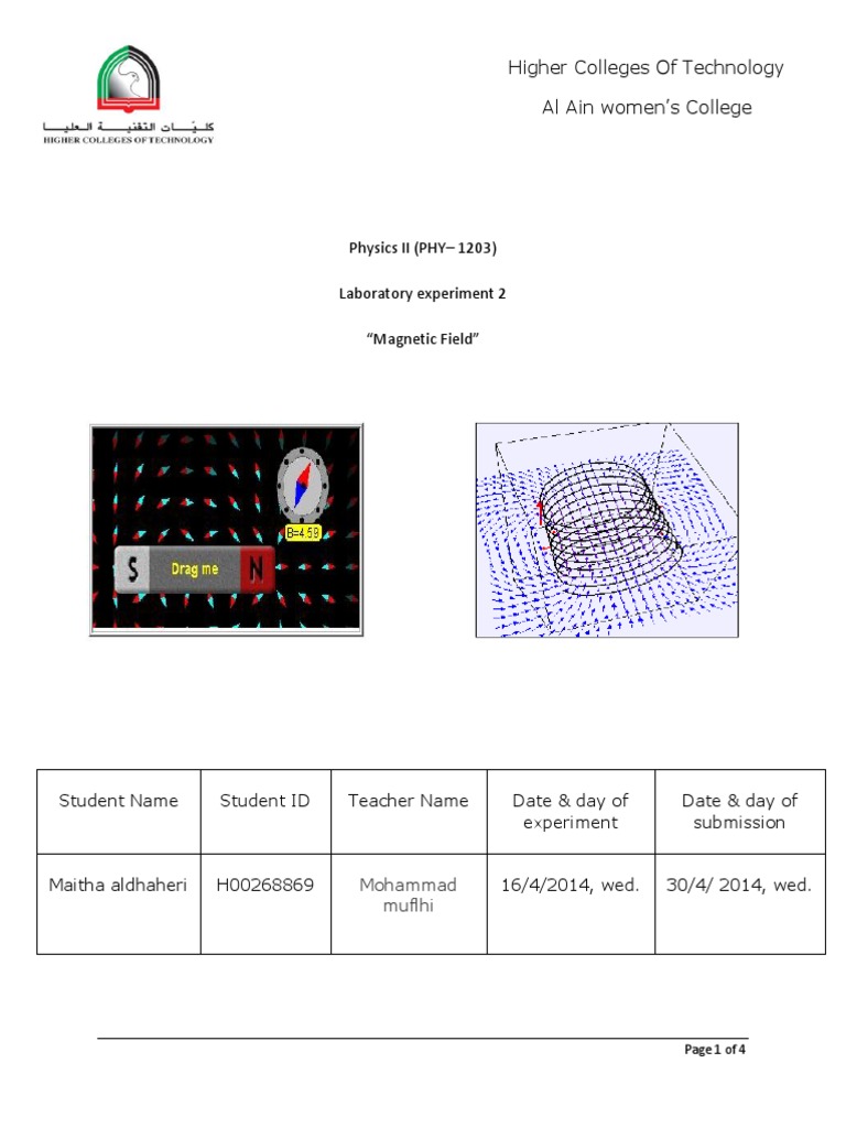 Magnetic Field Experiment Overview | PDF | Magnetic Field | Magnet