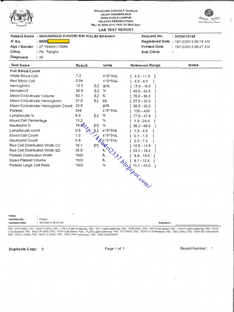 Dengue Test RPT 1 Edit | PDF